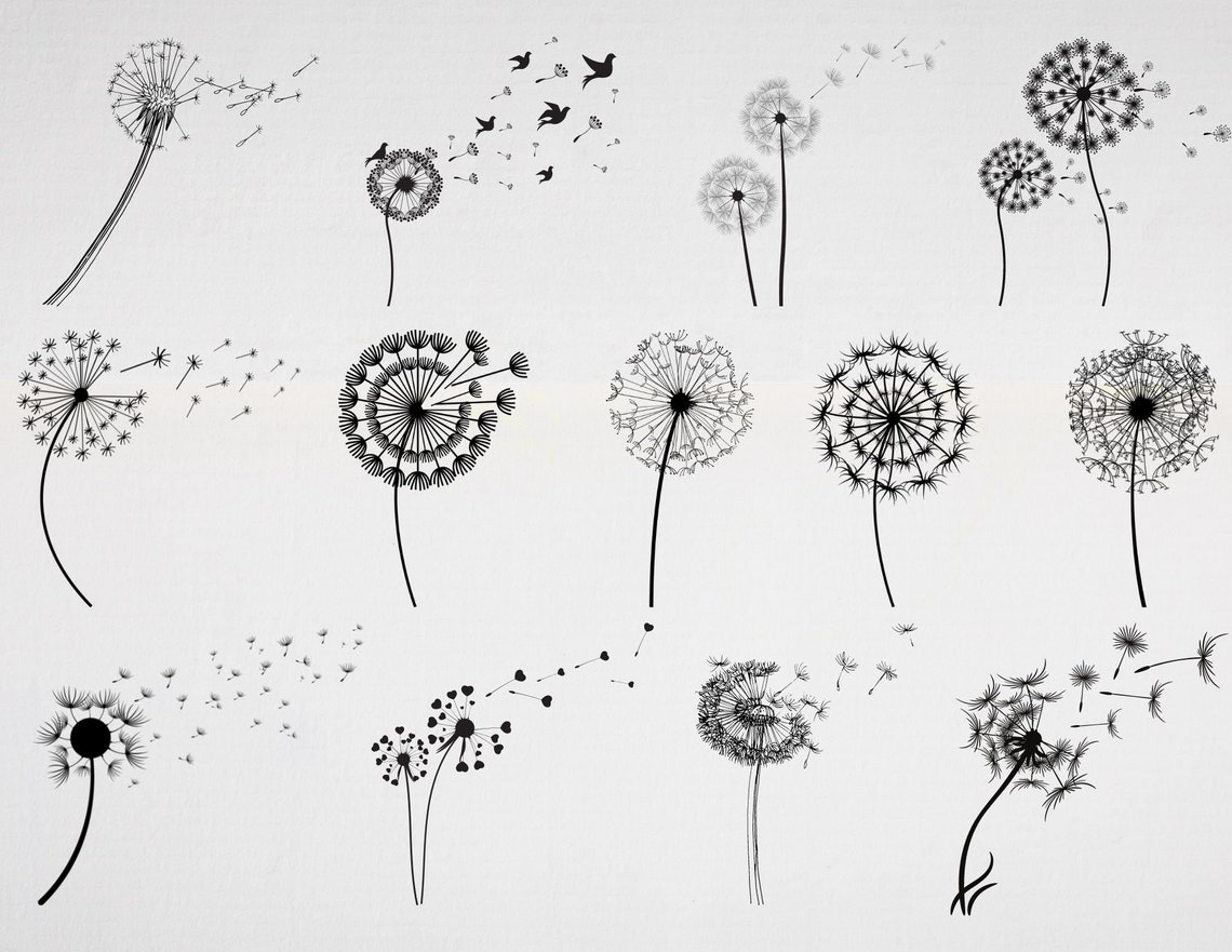 Dandelion Svg Bundle Dandelion Flower Svg Dandelion Vector - Etsy
