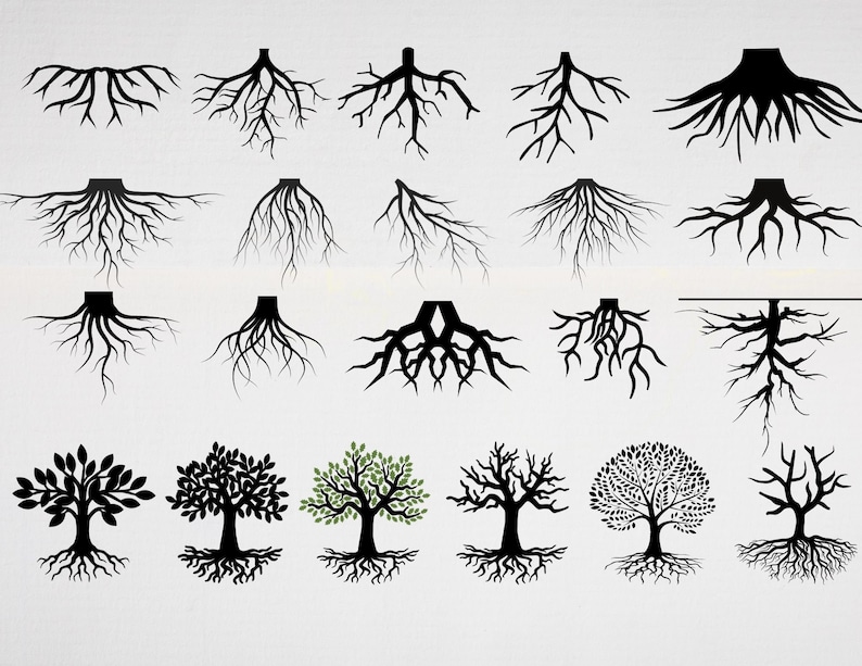 Tree Roots SVG File for Cricut Bundle Collection of Roots - Etsy