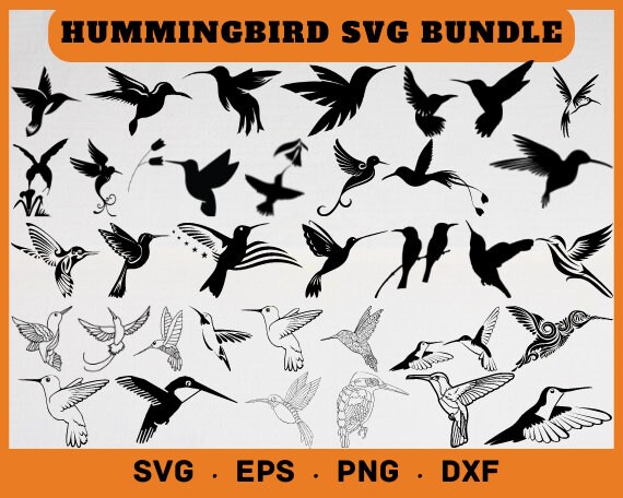 Colibri svg oiseau svg colibri png vecteur design - Etsy France