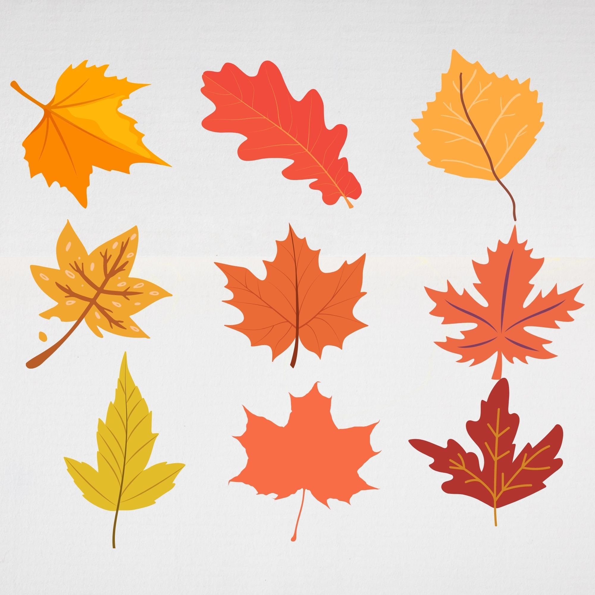 Fall Leaves Svg Fall Svg Fall Leaf Svg Bundle Fall Png Cut - Etsy