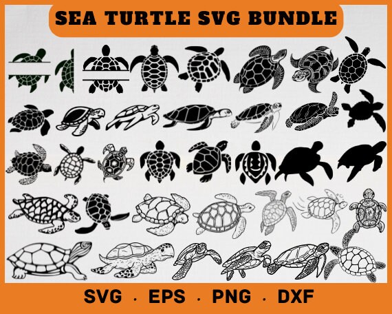 Turtle SVG Sea Turtle Svg Png Cricut Ocean Turtle Svg - Etsy
