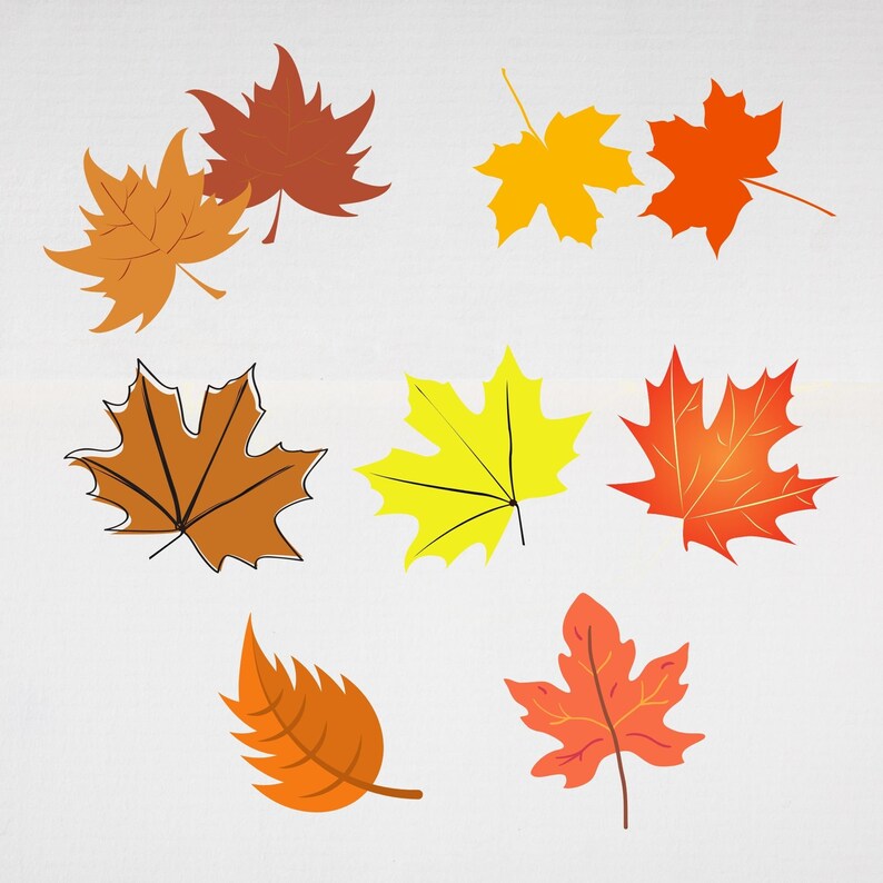Fall Leaves Svg Fall Svg Fall Leaf Svg Bundle Fall Png Cut - Etsy
