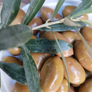 Kalamata Large Olives Whole ,kalamon Olives, Green Olives, Healthy ...