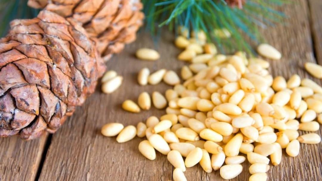 Pine Nut Kernel ,pine Nuts Whole Seeds 100% Natural Kernels ,pinus ...
