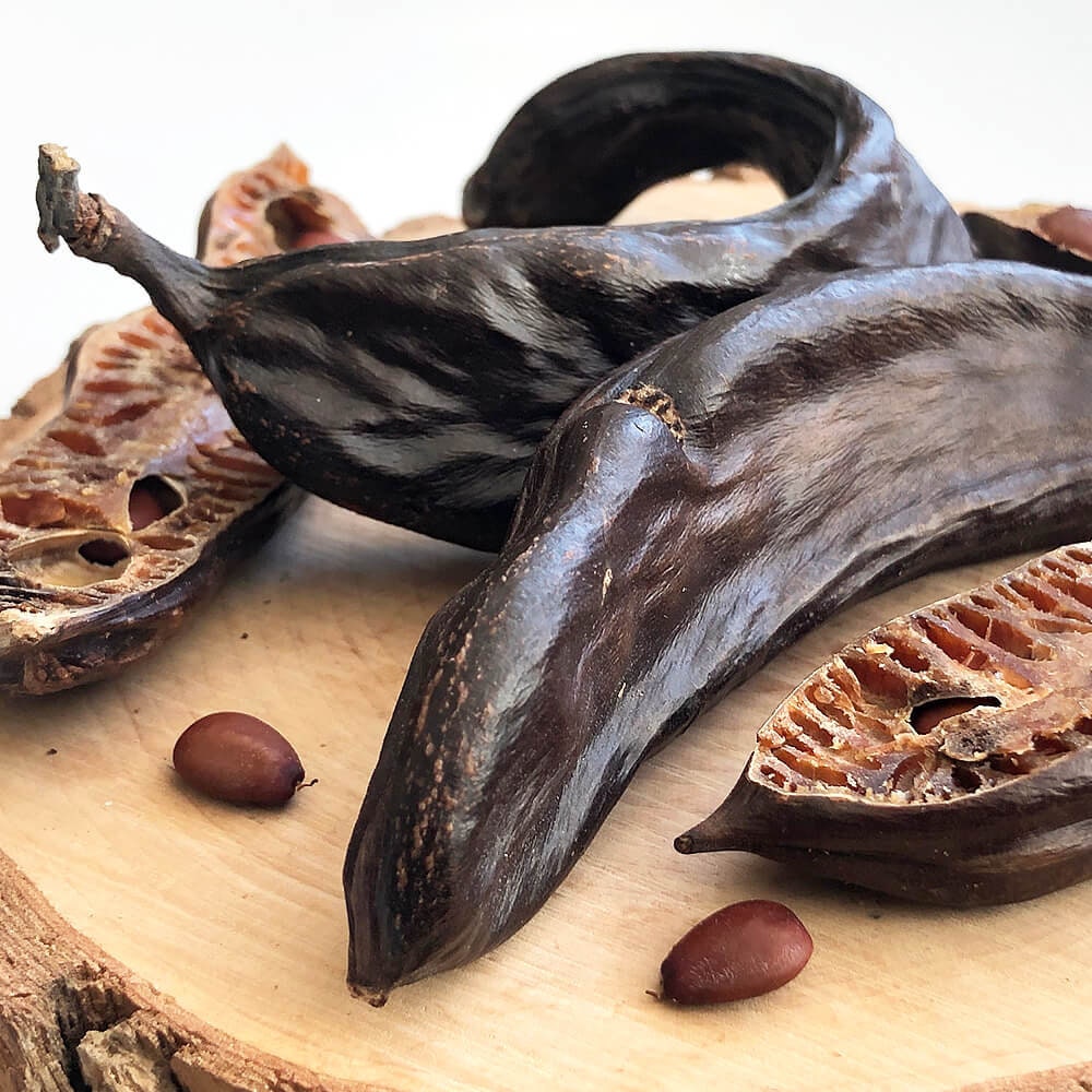 Organic Carob Bars carob Pods Locust Bean natural healthy - Etsy