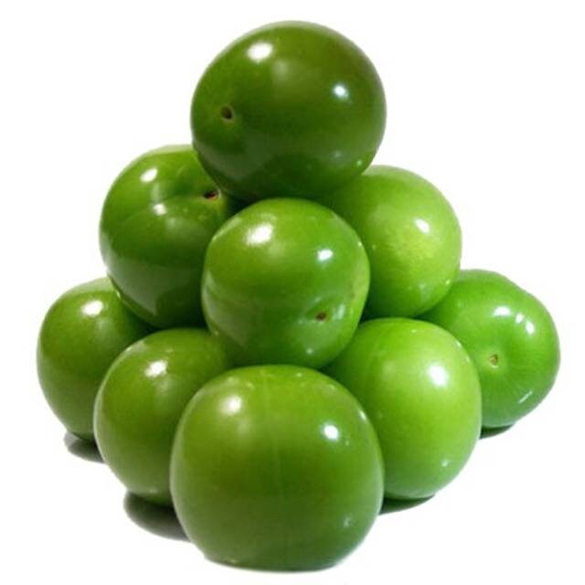 Best Seller Fresh Green Plumgreen Plum Fruitgreengage new - Etsy