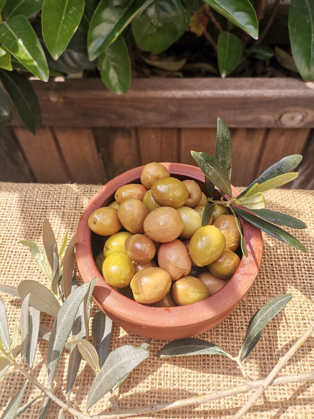 Organic Cracked Green Olive ,natural,mediterranean Snacks,turkish ...