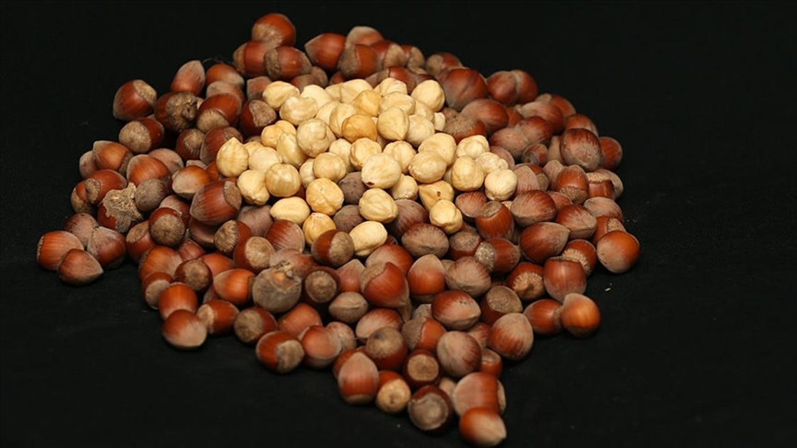 Organic Roasted Hazelnutturkish Premium Quality | Etsy