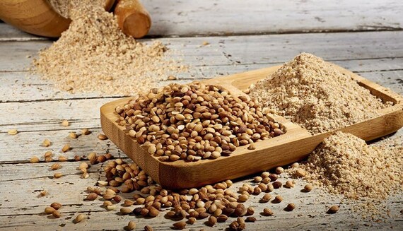 Mahlepi Whole Seeds Prunus Mahaleb %100 Natural Mahlab - Etsy