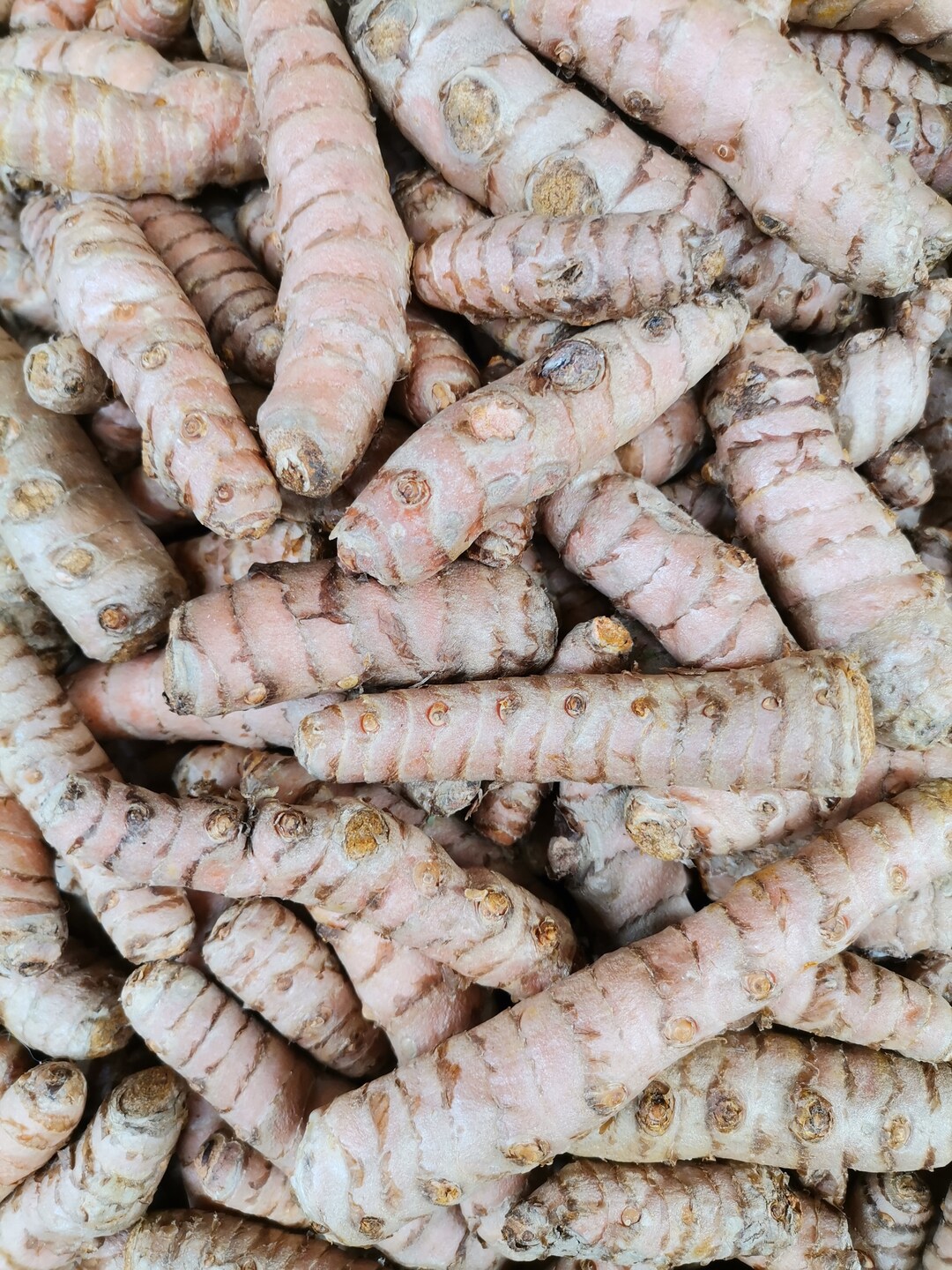 Curcumin Powder, Turmeric Root,spiece ,%100 Pure ,organic,natural ...