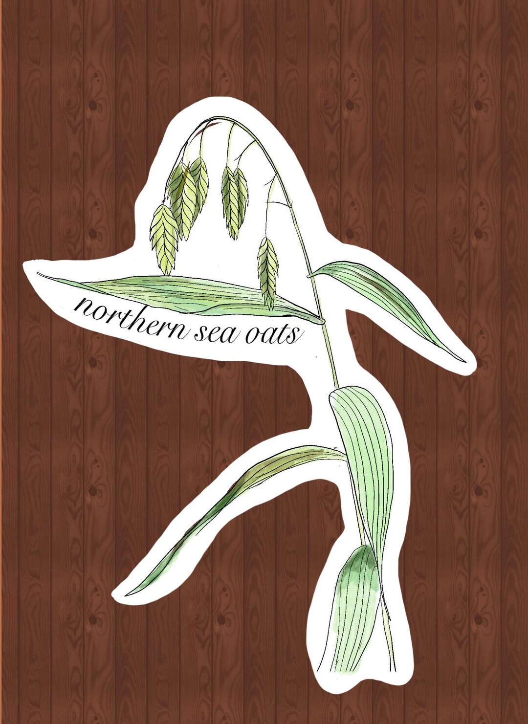 Northern Sea Oats Sticker- Plant Native Collection - Etsy
