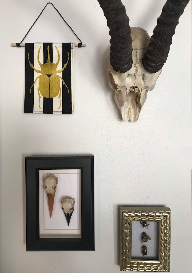 Stag Beetle Banner - Etsy