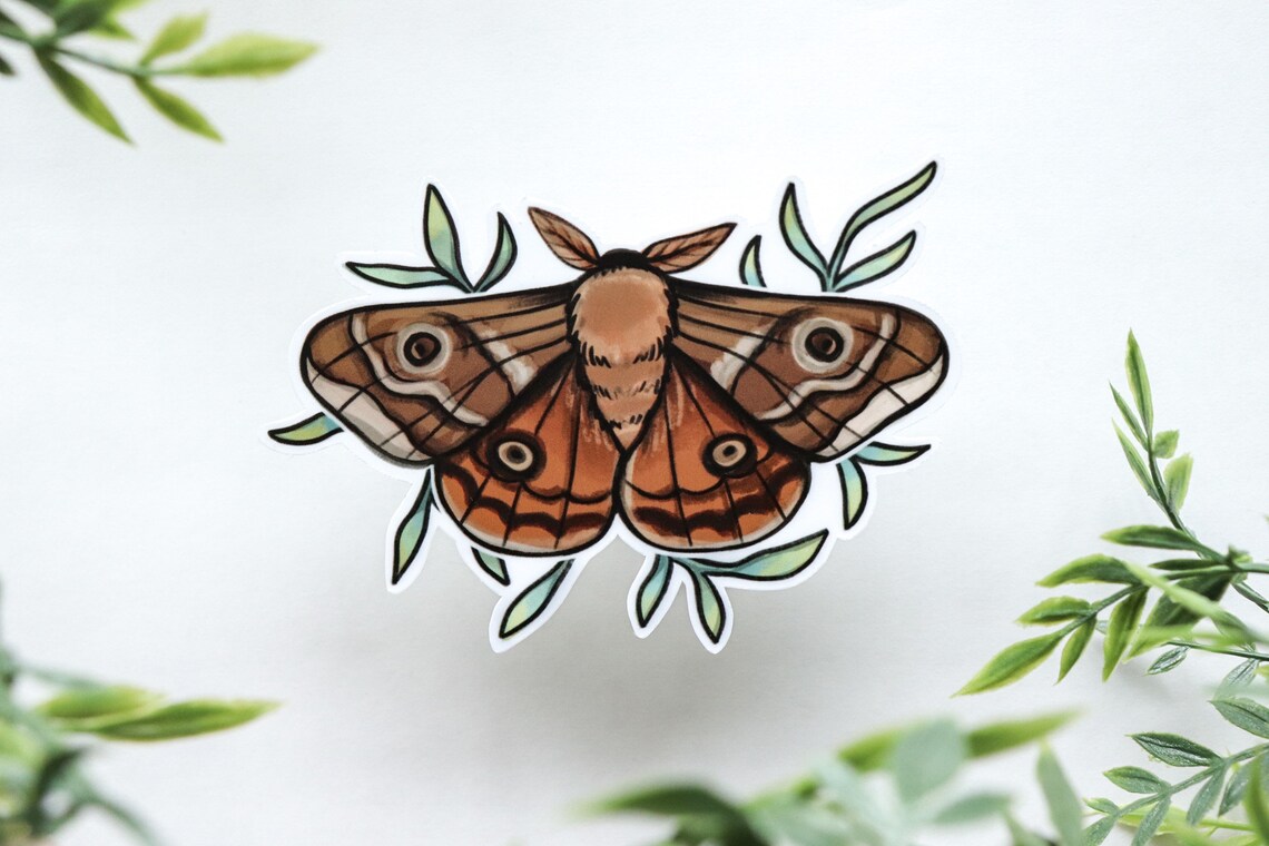 Moth Sticker | Waterproof Sticker - Etsy
