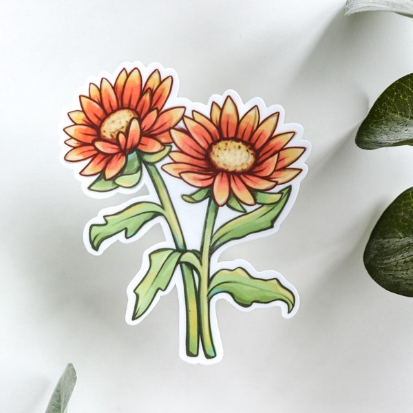 Indian Blanket Flower - Etsy