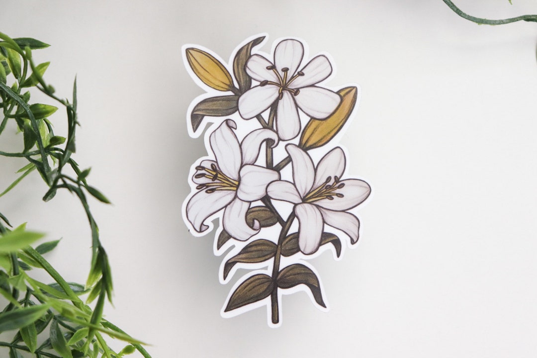 Lily Sticker | Waterproof Sticker | Flower Sticker - Etsy