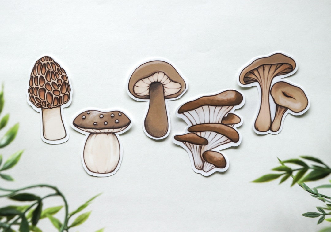 Mushroom Sticker Pack | Nature Sticker | Waterproof Stickers - Etsy