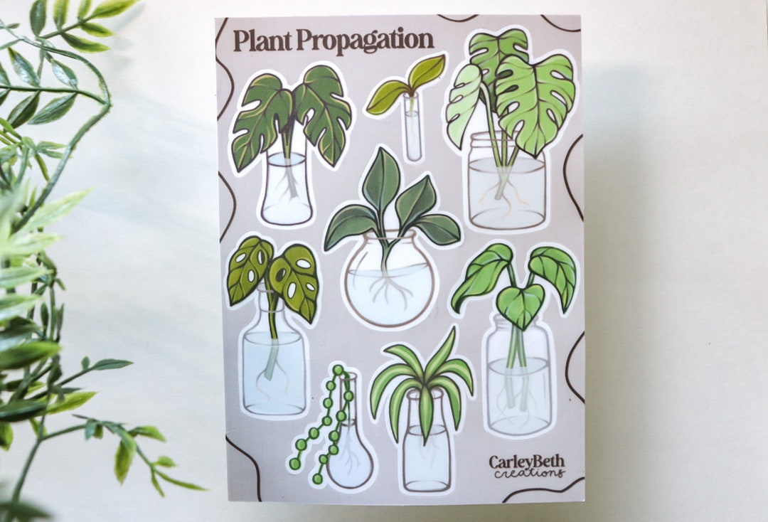 Plant Propagation Sticker Sheet Plant Sticker Sheet - Etsy