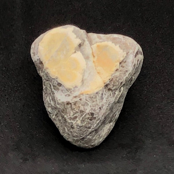 Heart Shaped Rocks - Etsy