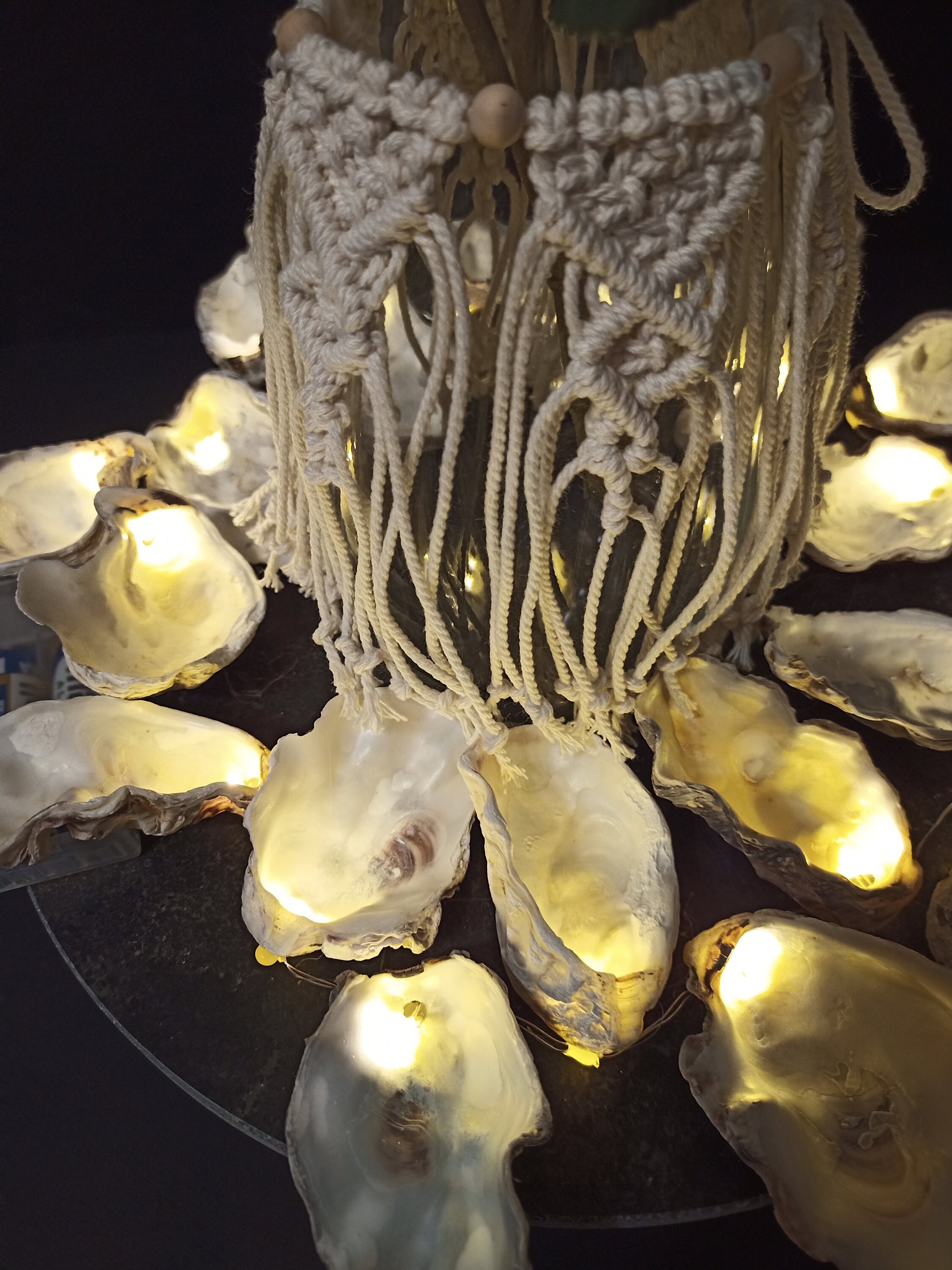 Oyster Lights Shell Lights Oyster Shells Housewarming Gift - Etsy