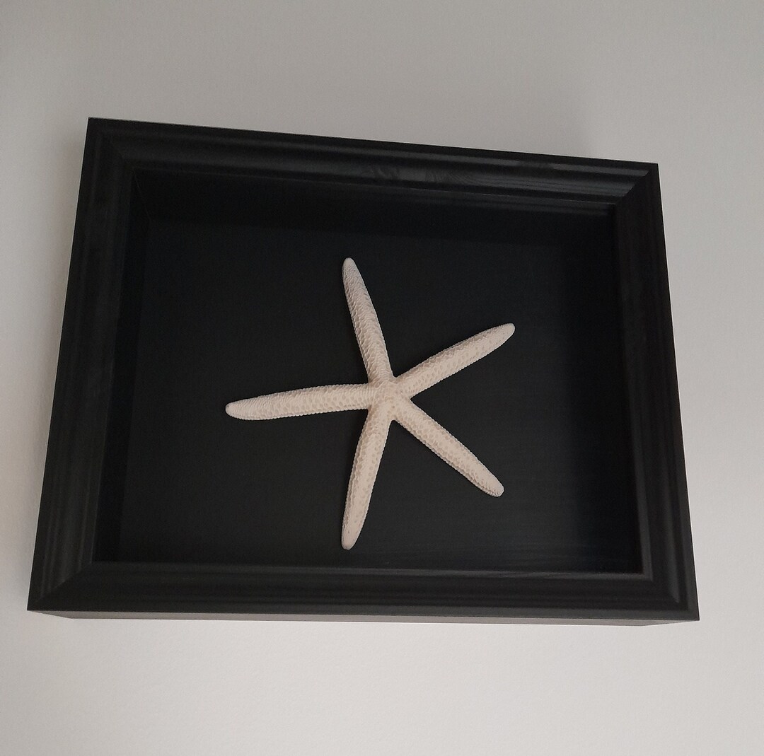 Starfish Seashell Shadow Box, Coastal Decor, Sea Life, Seaside Shadow ...