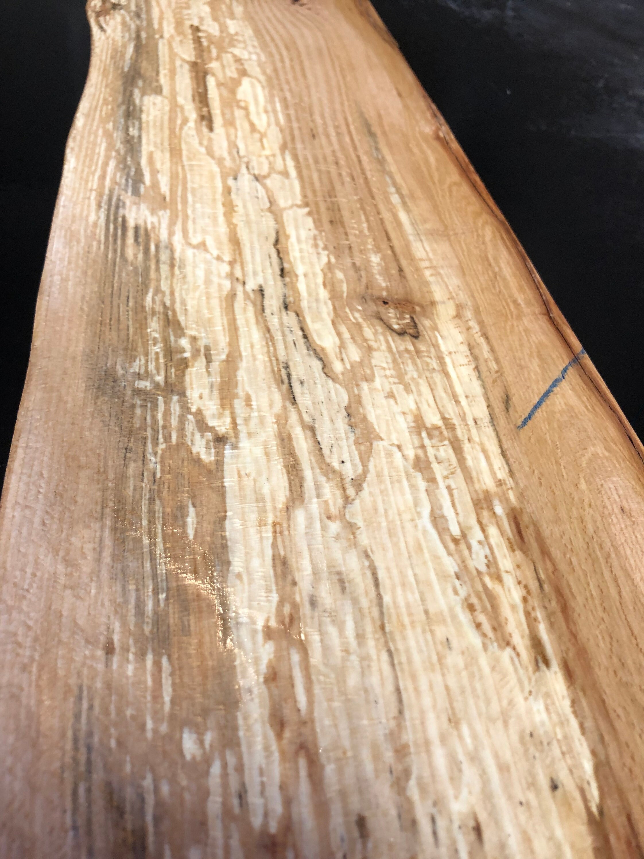 Spalted Beech Wood Craft Slab - Etsy