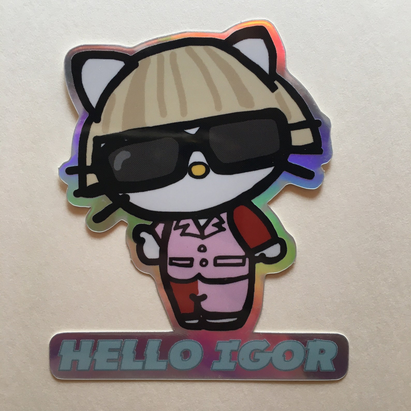 Igor Kitty: Tyler the Creator and Cat Fanart Holographic Vinyl | Etsy