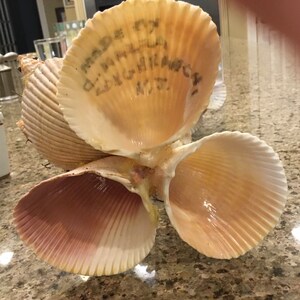 Vintage Folk Art Sea Shell Figurine - Birds Nesting in a Tree ...