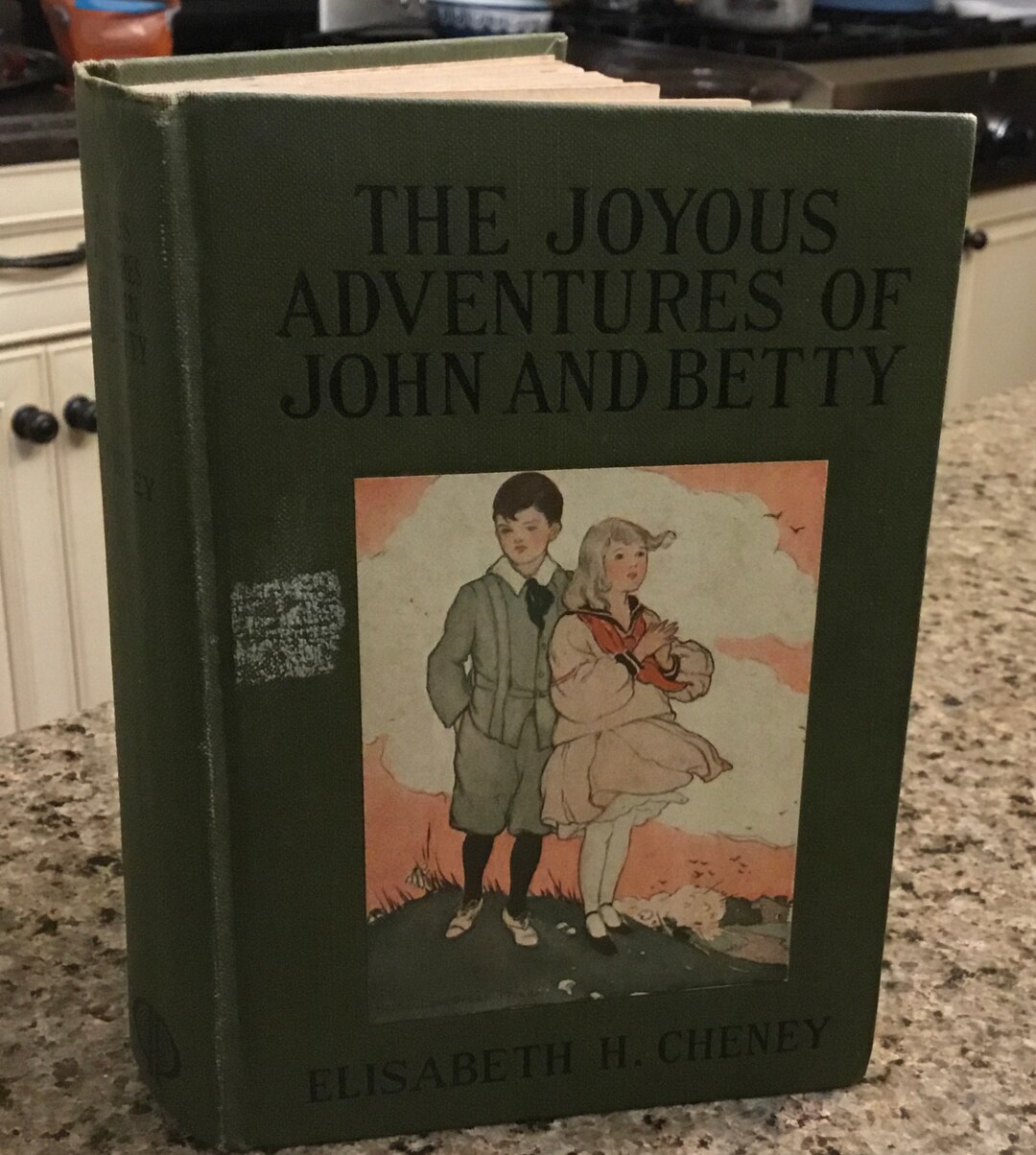 Rare Antique Children’s Book - the Joyous Adventures of John and Betty ...