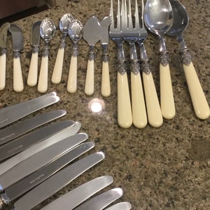 Vintage Inox Italian Cutlery Set for 12 People 96 Pieces Ivory Lucite ...