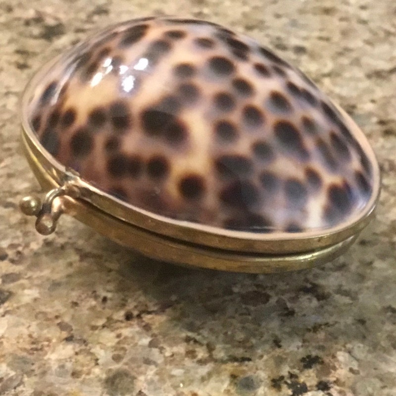 Shell Pill Box - Etsy