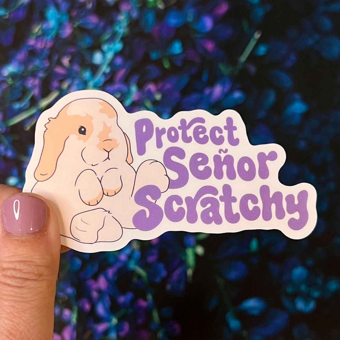 Protect Señor Scratchy! Sticker ~ Agatha's Pet Rabbit ~ Vinyl ...