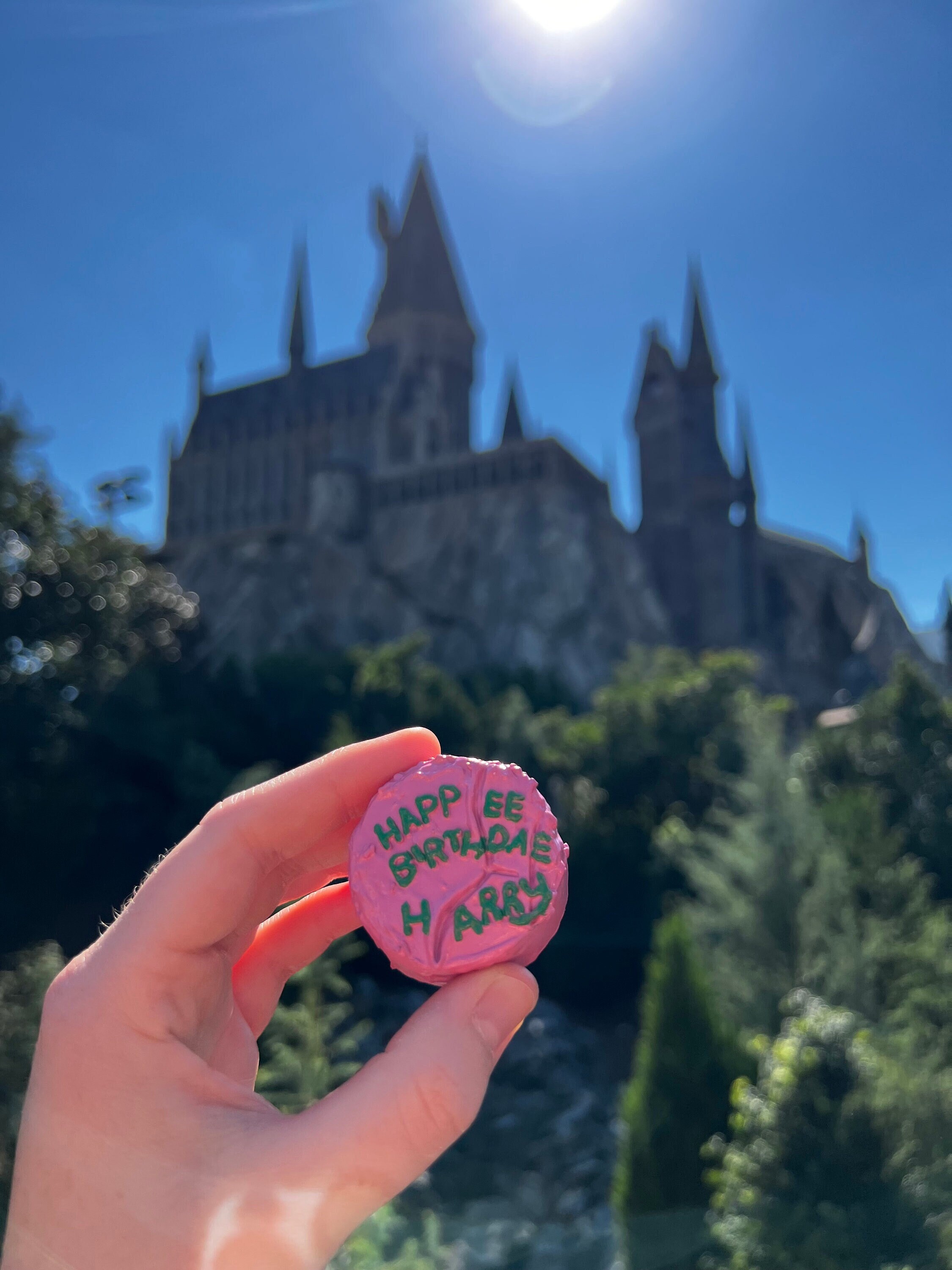 Harry Potter Inspired Mini Hagrid Birthday Cake - Etsy