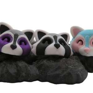 Transgender Trash Panda – Adorable Trash Pandas by Vera's Arts & Dice ...