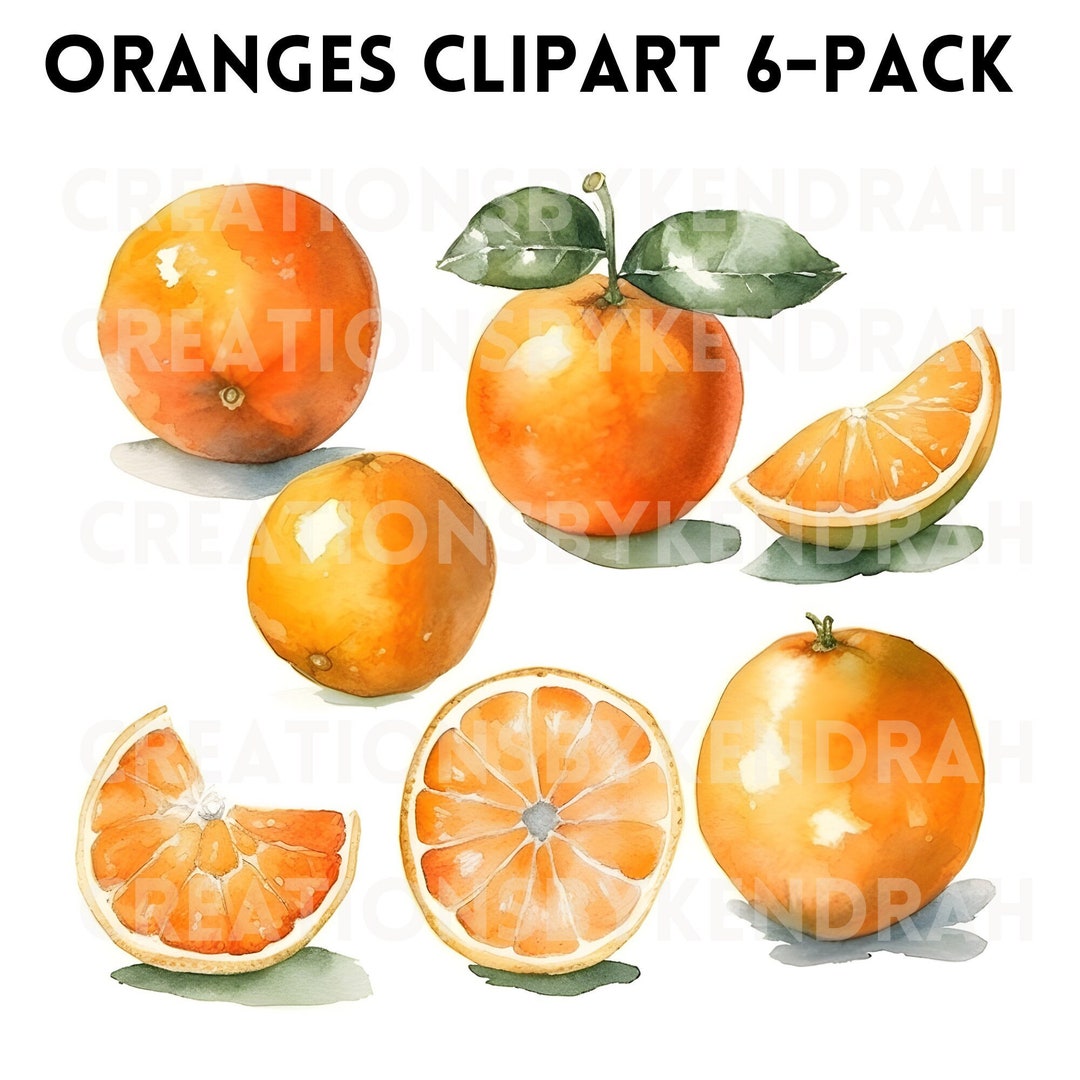 Watercolor Orange Clipart Pack Transparent Oranges PNG, SVG Instant ...