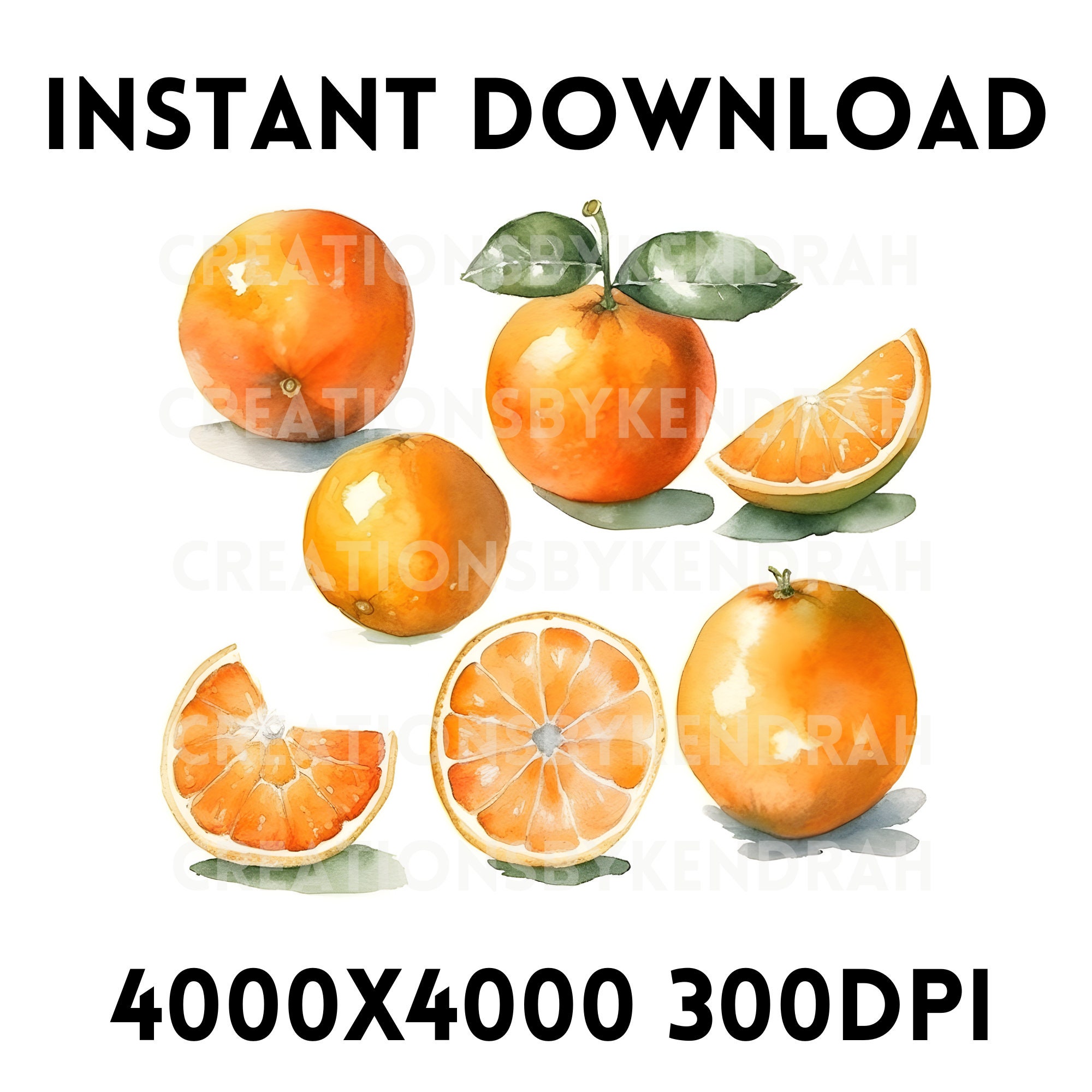 Watercolor Orange Clipart Pack Transparent Oranges PNG, SVG Instant ...