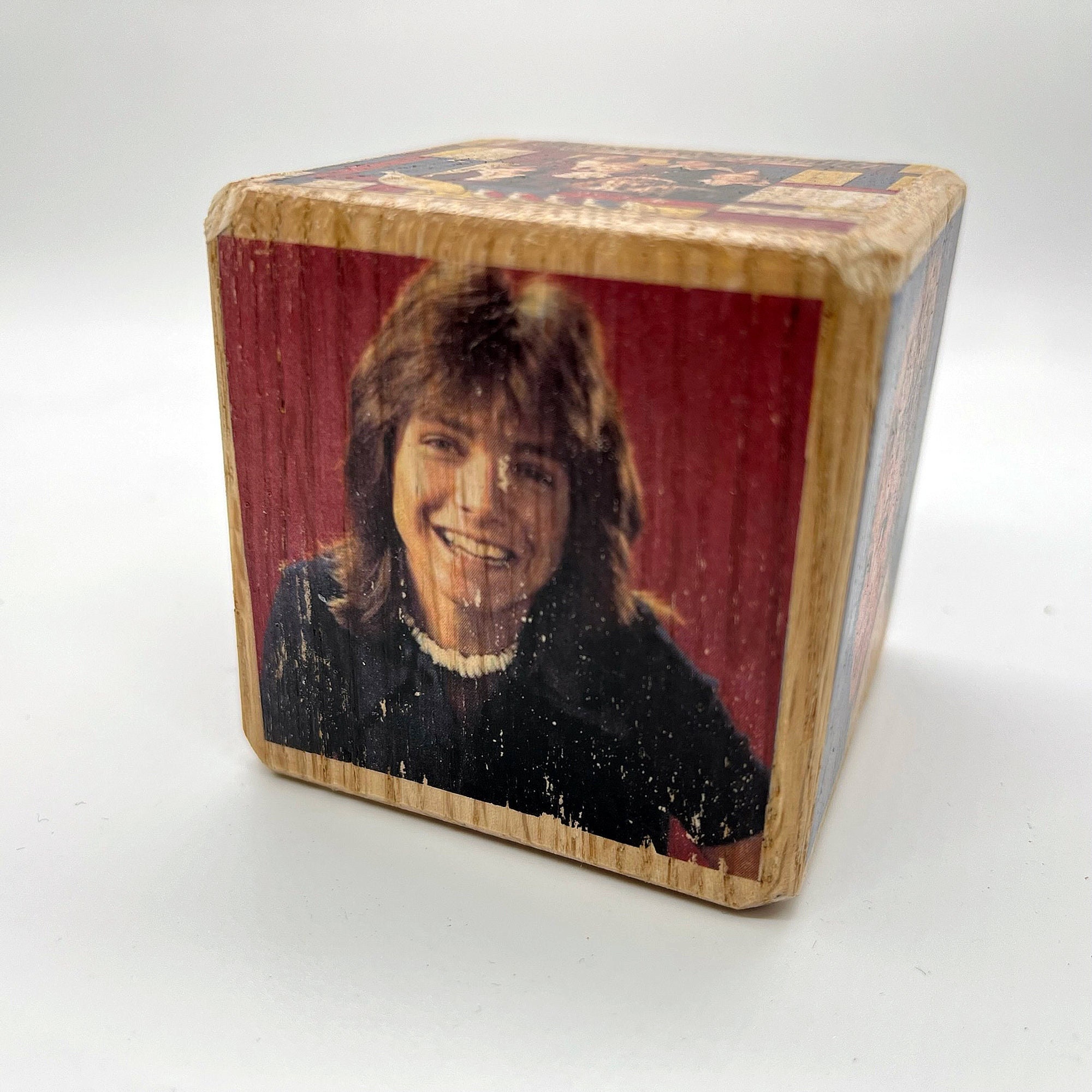 The Partridge Family Wood Block - Etsy