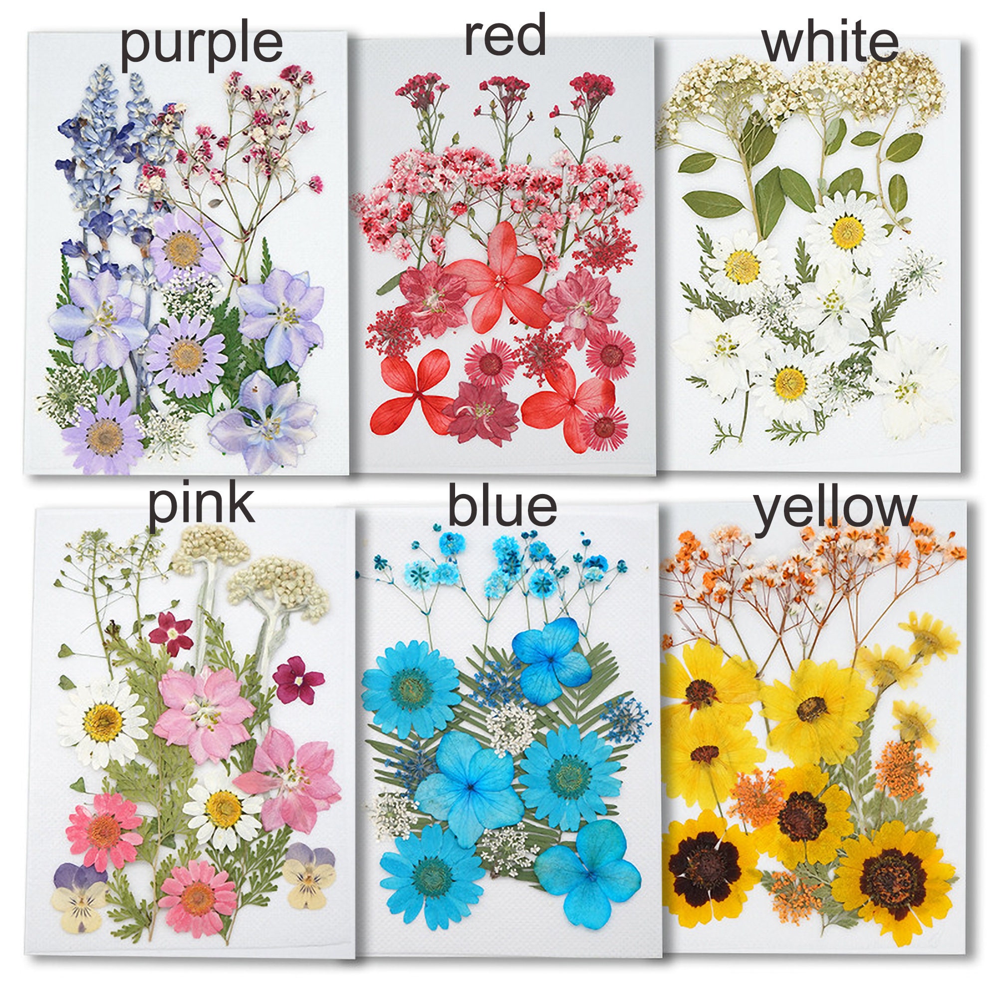 6 Styles Dried Flower For Resin pressed flower handmade | Etsy