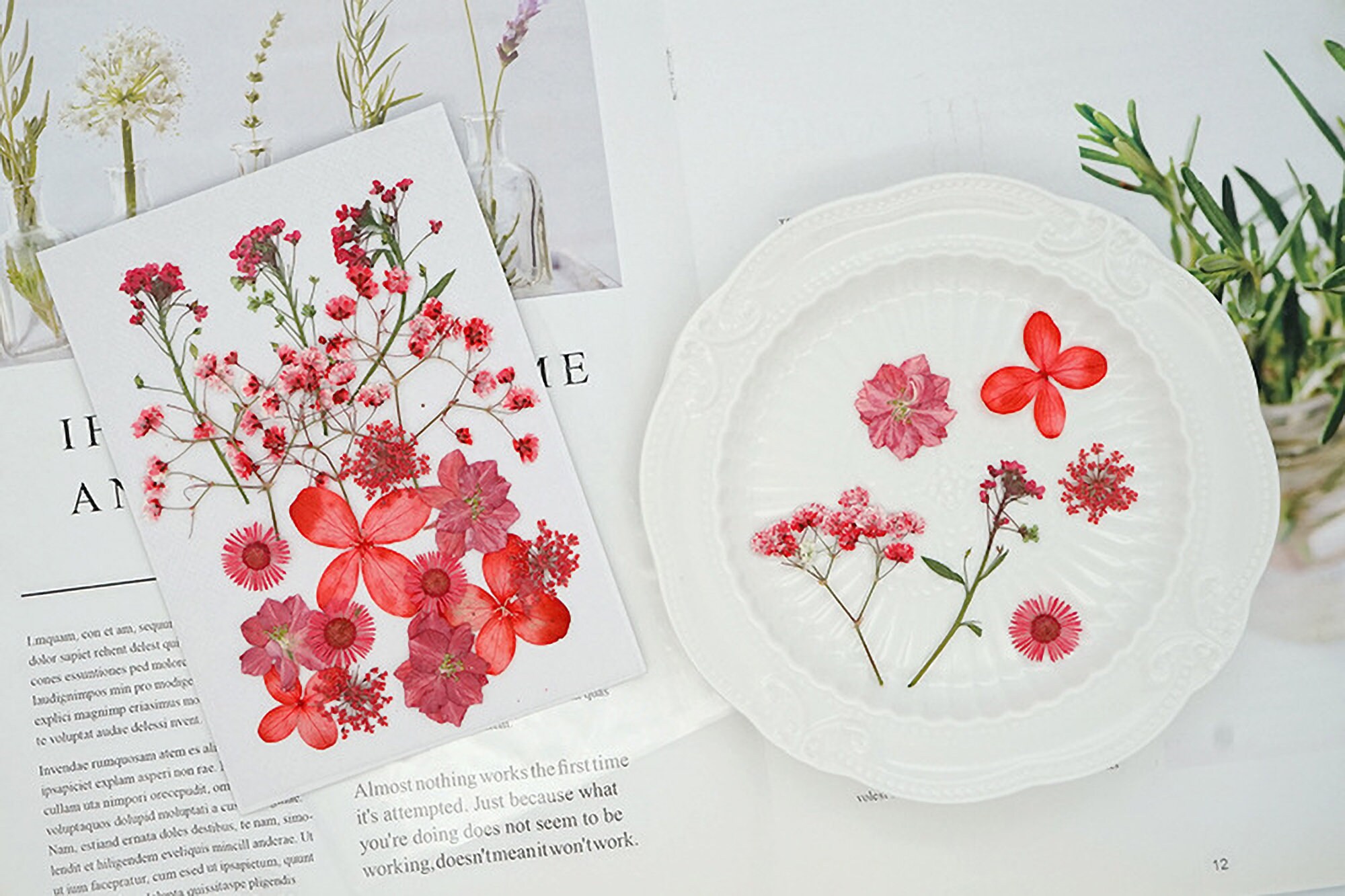 6 Styles Dried Flower For Resin pressed flower handmade | Etsy