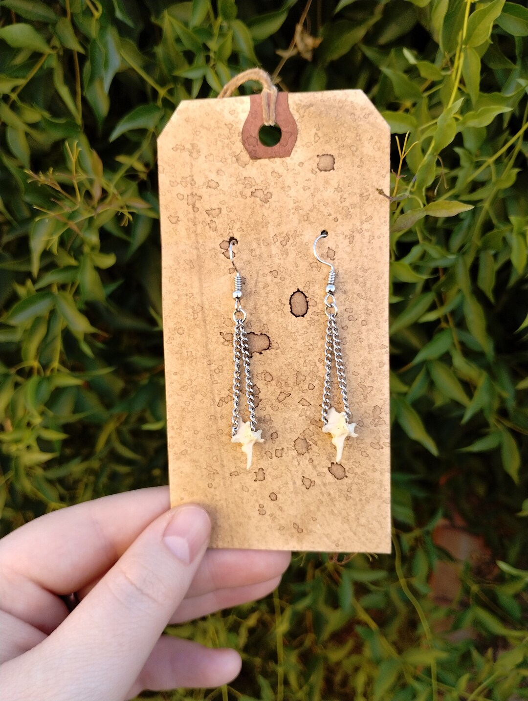 Dangling Vertebrae Earrings With Rattlesnake Bones, Hanging Chain ...