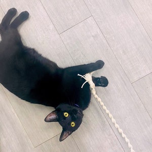 DIY Macrame Kit, Wand Cat Toy, Macrame Cat Toy, Boho Cat Toys, Unique ...