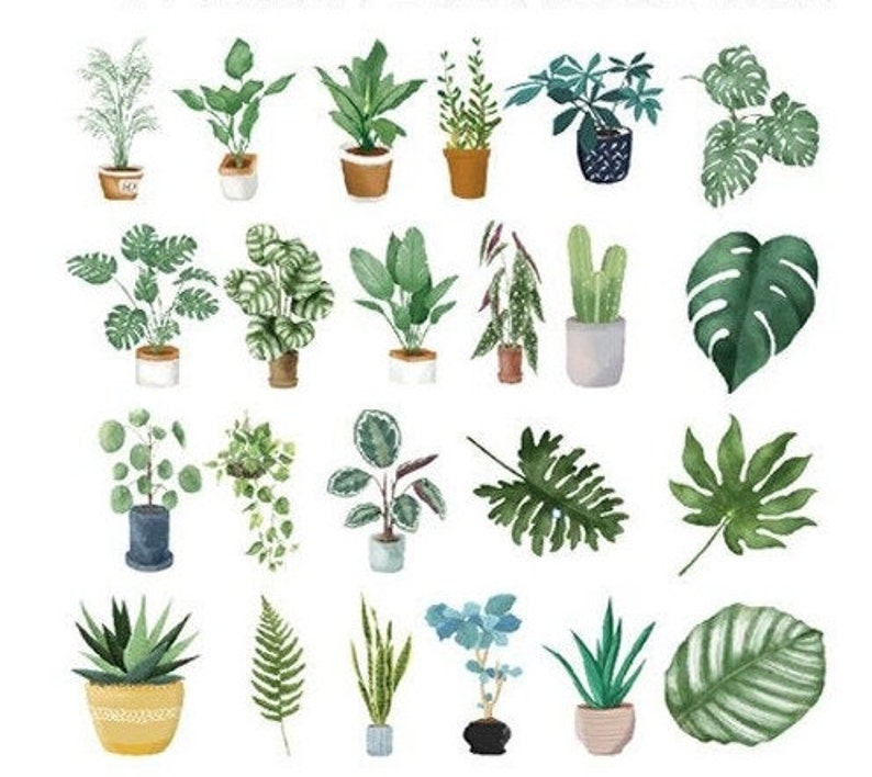 Plant Stickers Set of 40 - Etsy