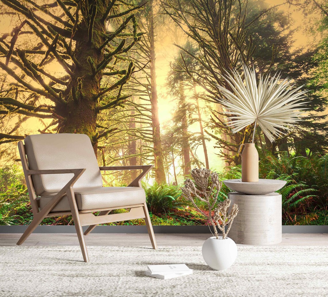 Rainforest Sunrise Wall Mural: Tropical Forest Decor - Etsy
