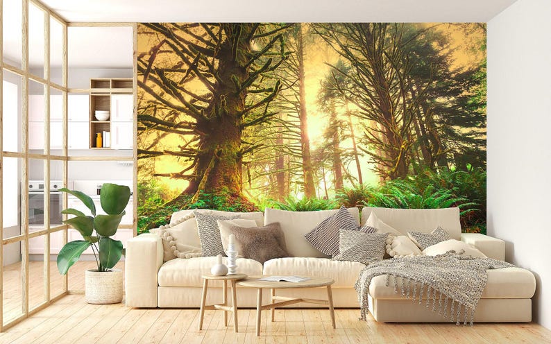 Rainforest Sunrise Wall Mural: Tropical Forest Decor - Etsy