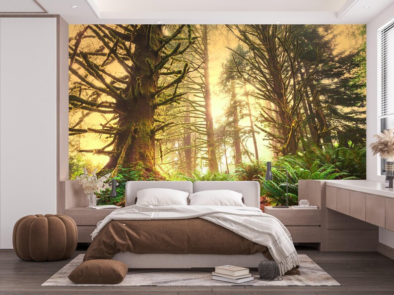 Rainforest Sunrise Wall Mural: Tropical Forest Decor - Etsy