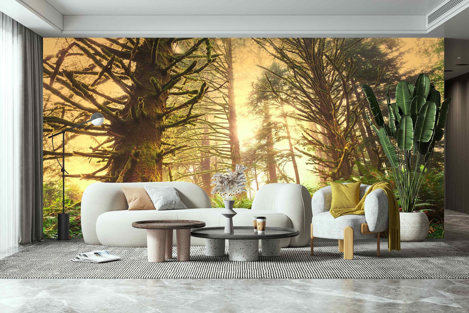 Rainforest Sunrise Wall Mural: Tropical Forest Decor - Etsy