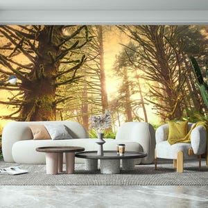 Rainforest Sunrise Wall Mural: Tropical Forest Decor - Etsy