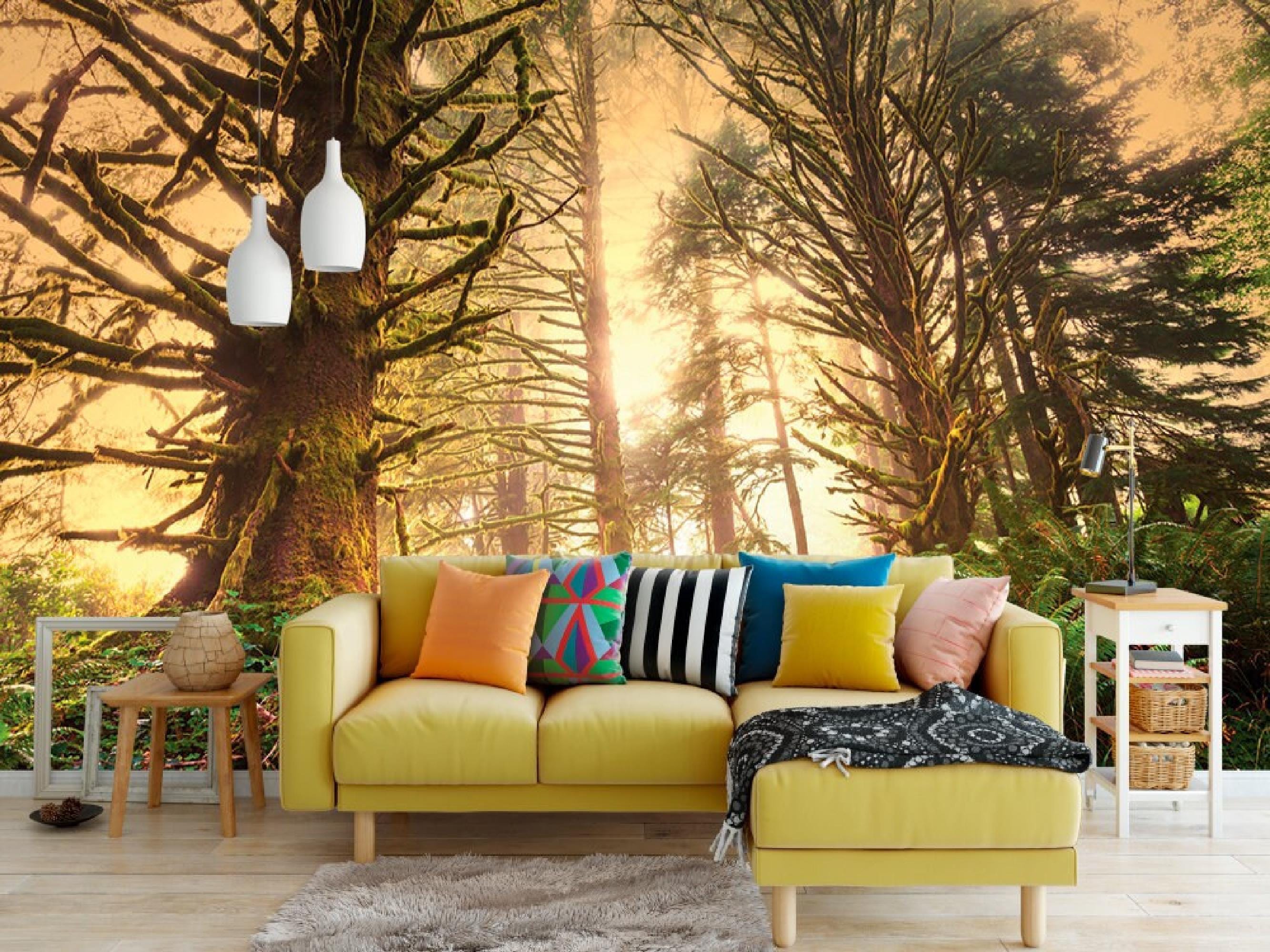 Rainforest Sunrise Wall Mural: Tropical Forest Decor - Etsy