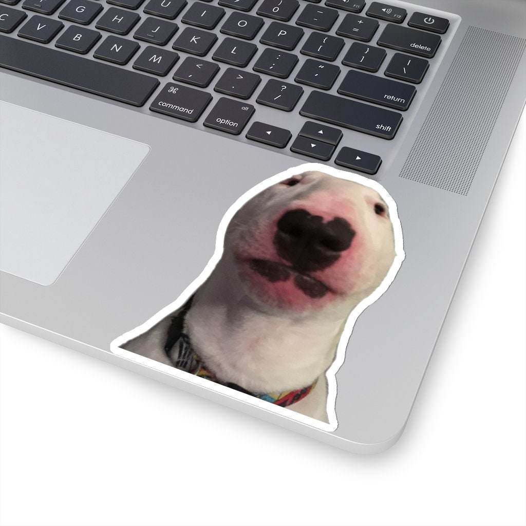 Walter Sticker Dog Meme Walter Meme Vinyl Laptop Sticker | Etsy