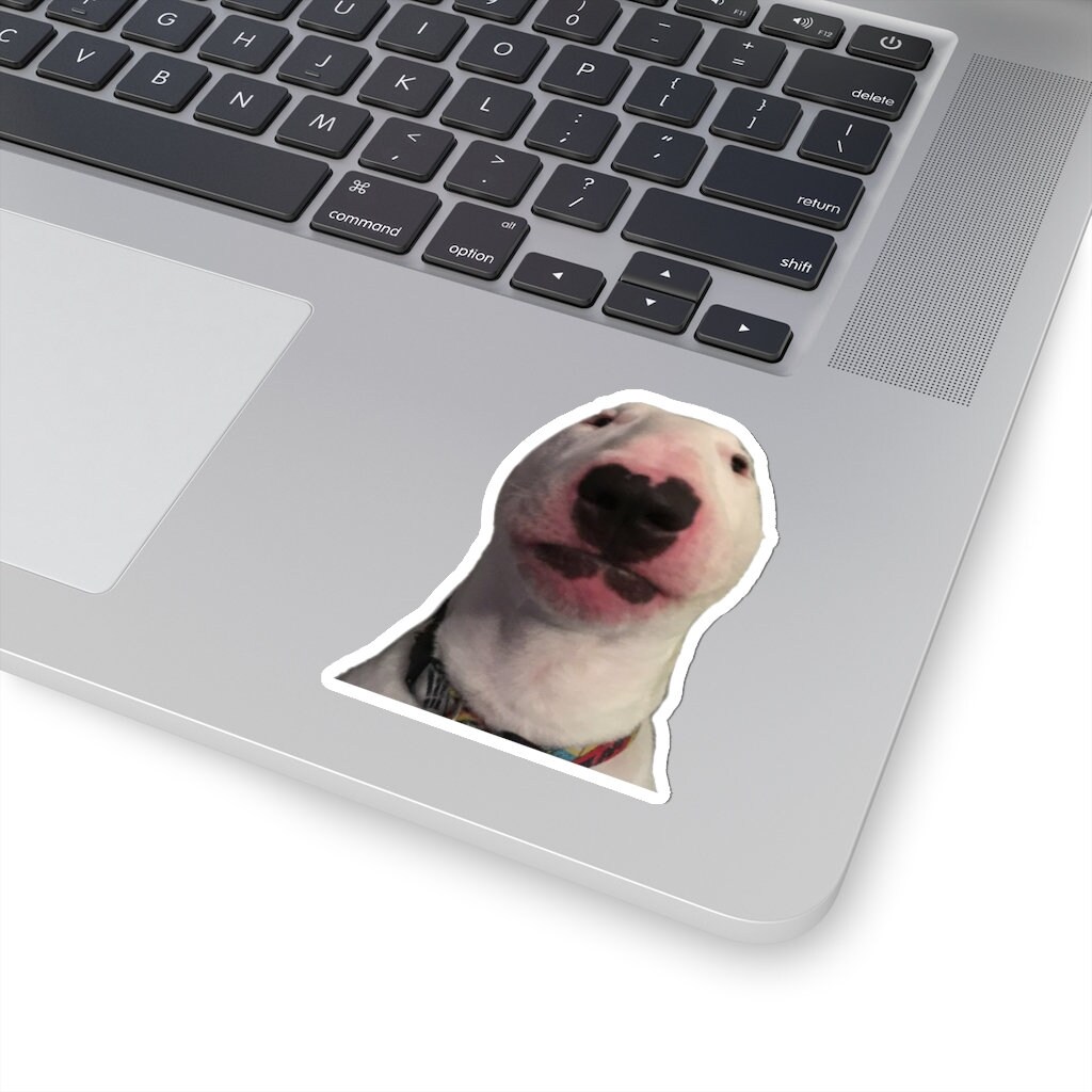 Walter Sticker Dog Meme Walter Meme Vinyl Laptop Sticker | Etsy