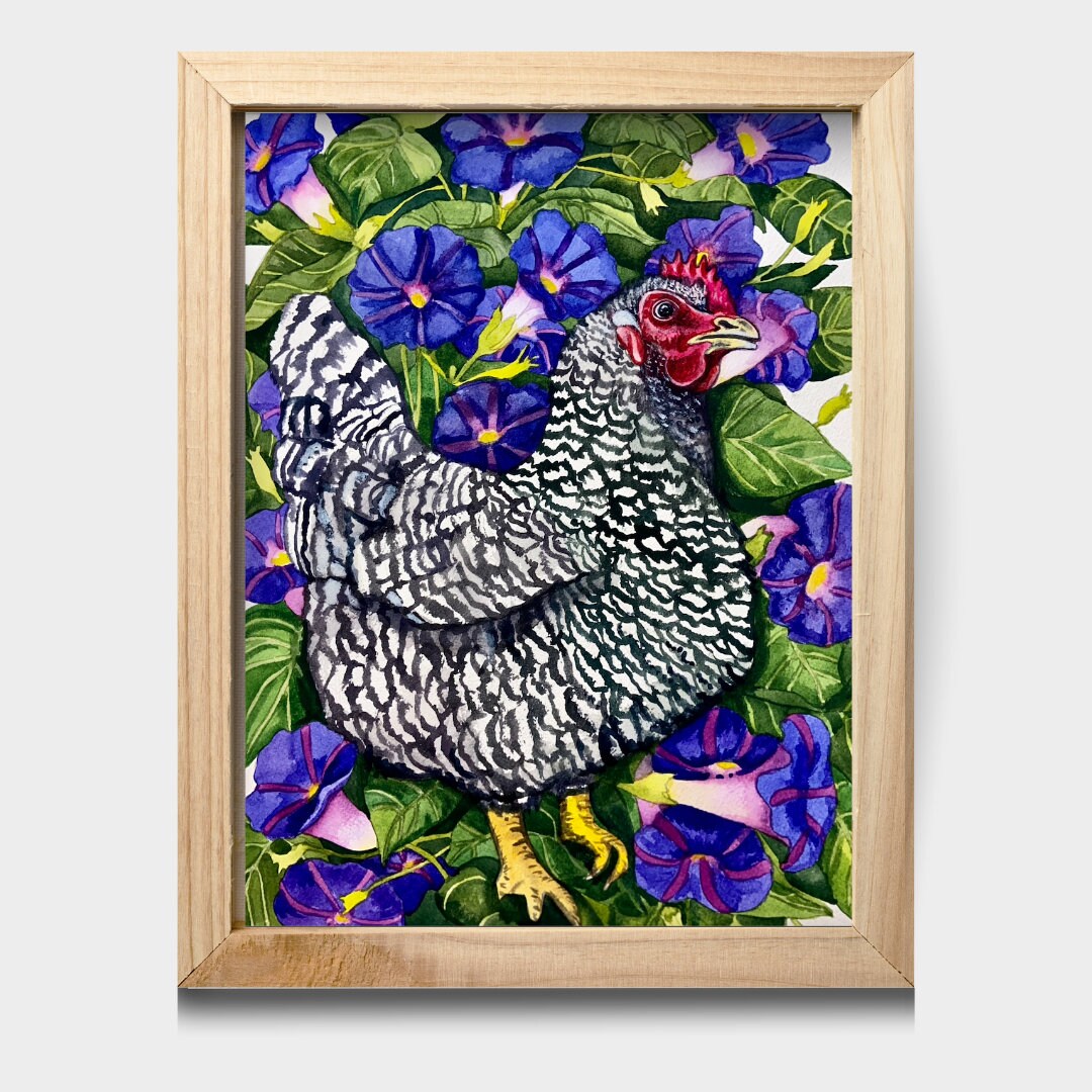Good Morning Gracy Plymouth Rock Chicken Watercolor Fine Art Giclee ...